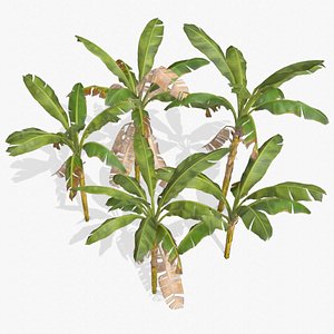 Animated Banana Tree 3D Models for Download | TurboSquid