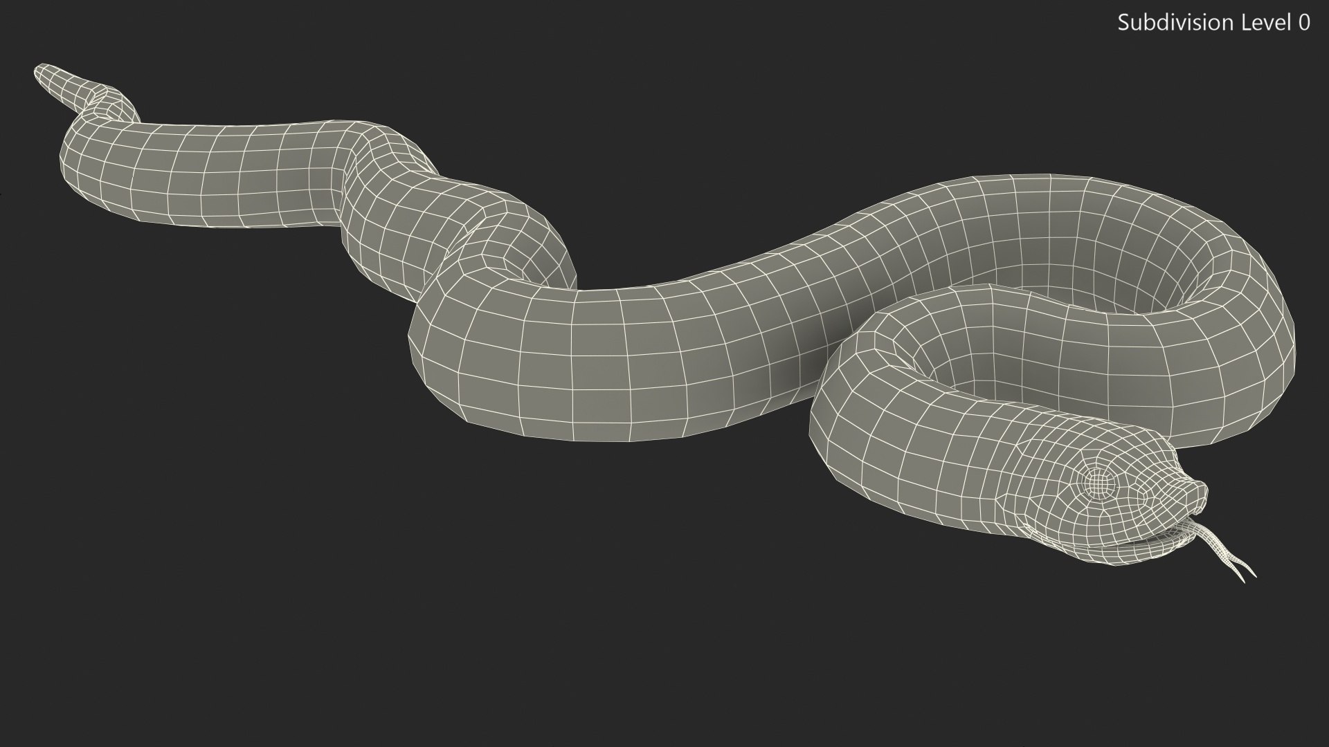 3D Model Coiled Hognose Snake Animal - TurboSquid 1475428