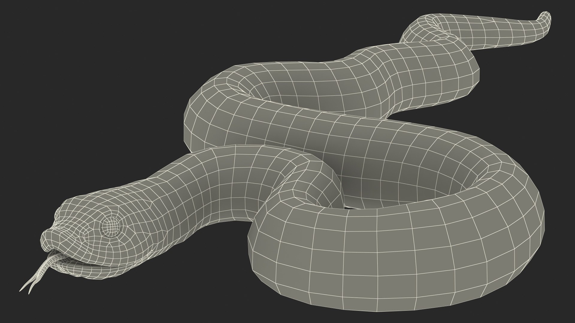 3D Model Coiled Hognose Snake Animal - TurboSquid 1475428