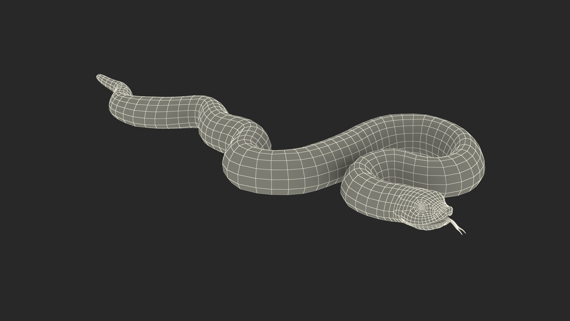 3D Model Coiled Hognose Snake Animal - TurboSquid 1475428