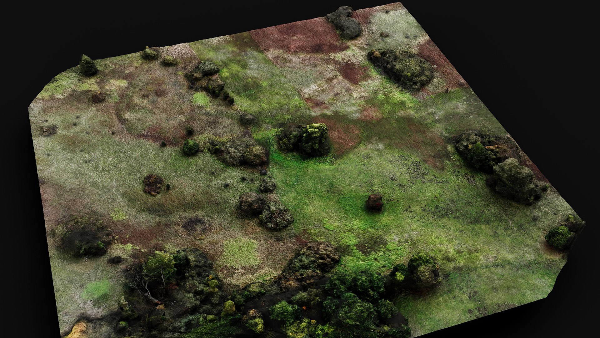 Grass Field Forest Terrain Area Drone Photogrammetry 3D Model ...