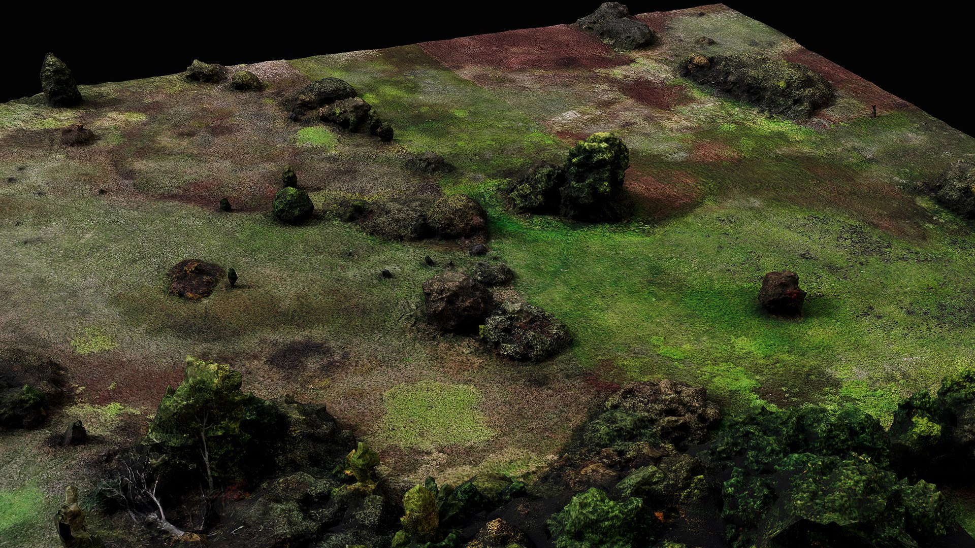 Grass Field Forest Terrain Area Drone Photogrammetry 3D Model ...