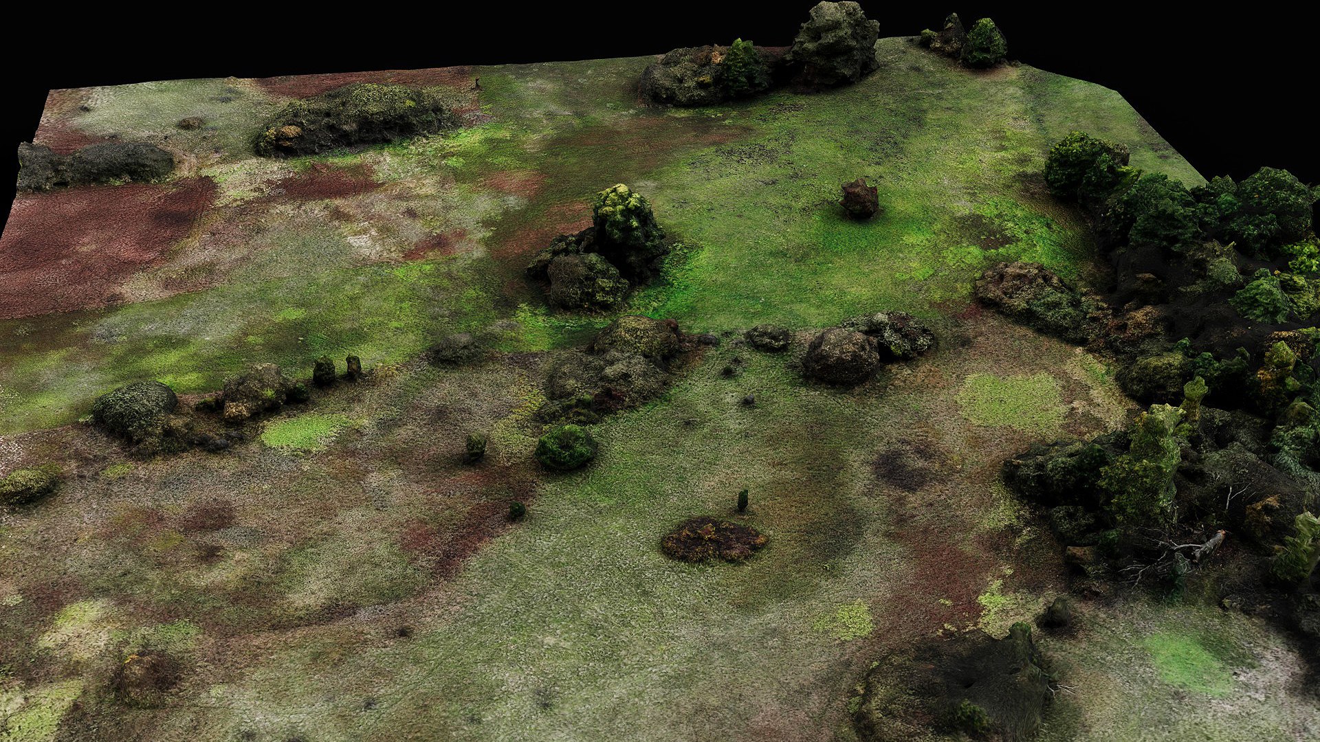 Grass Field Forest Terrain Area Drone Photogrammetry 3D Model ...