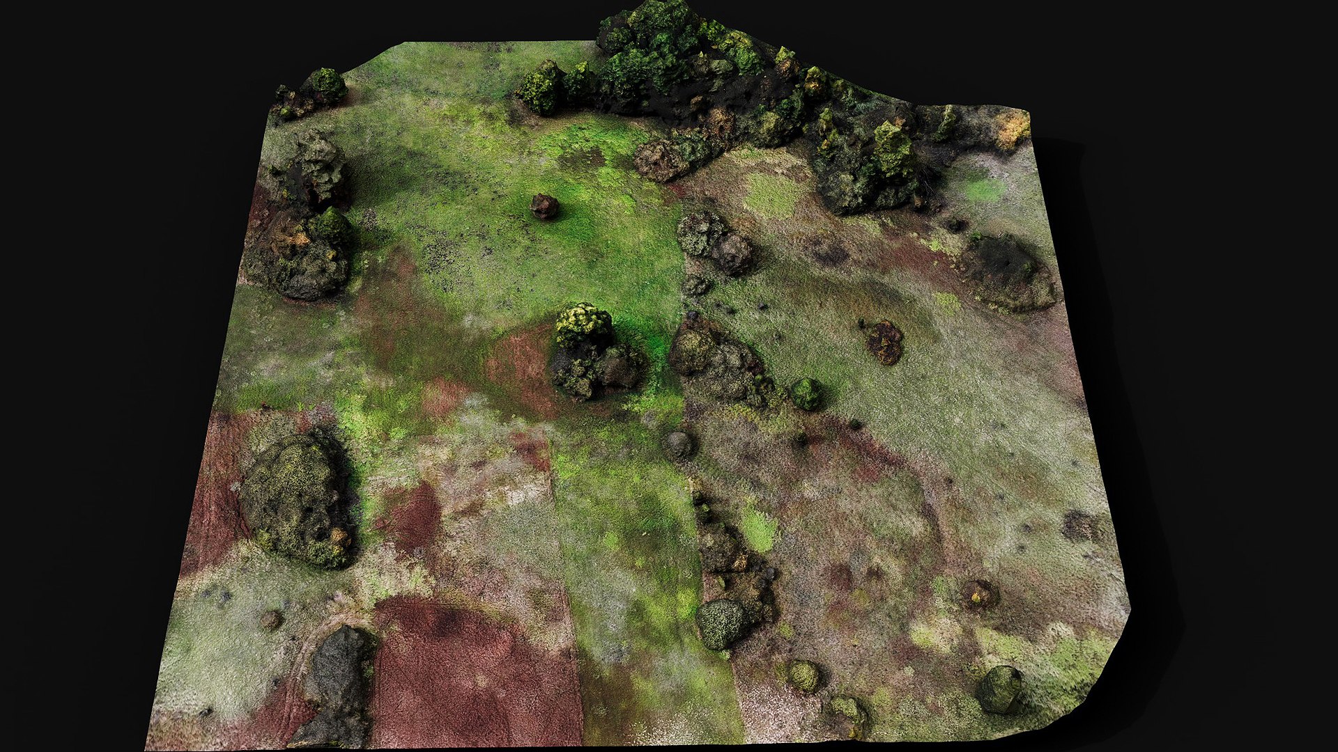 Grass Field Forest Terrain Area Drone Photogrammetry 3D Model ...