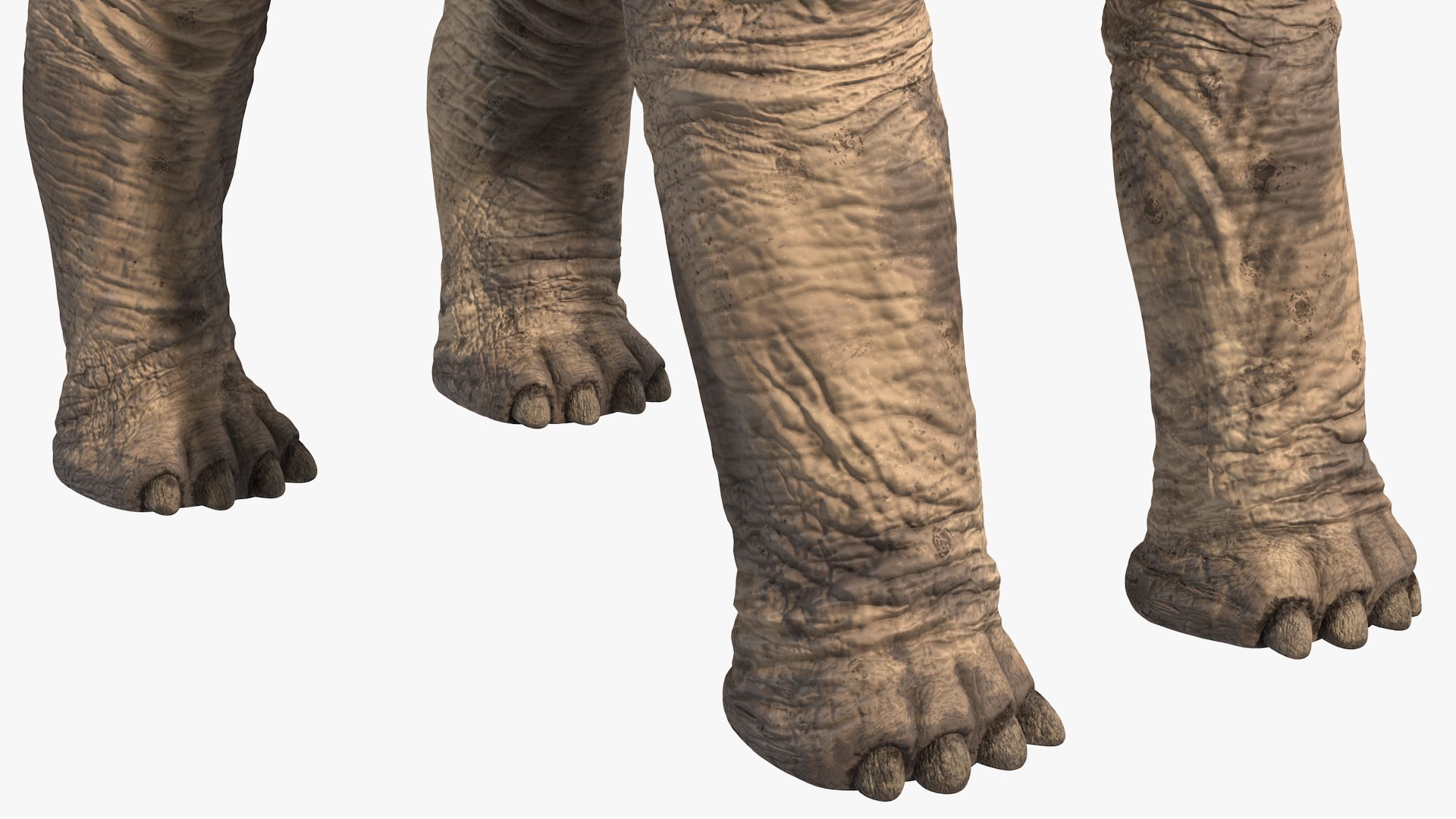 3D brachiosaurus altithorax rigged modo model - TurboSquid 1631998