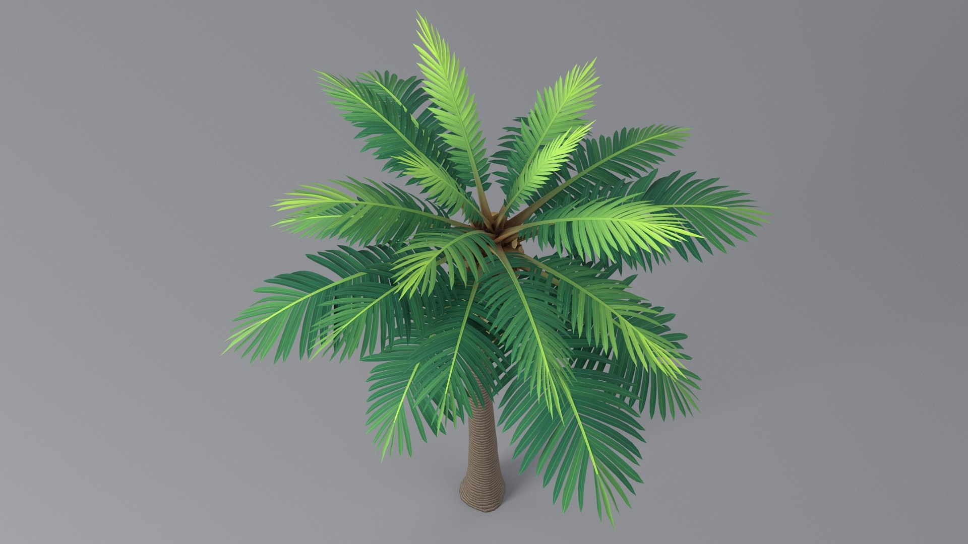 3D Model Cartoon Palm Tree 04 - TurboSquid 1941528
