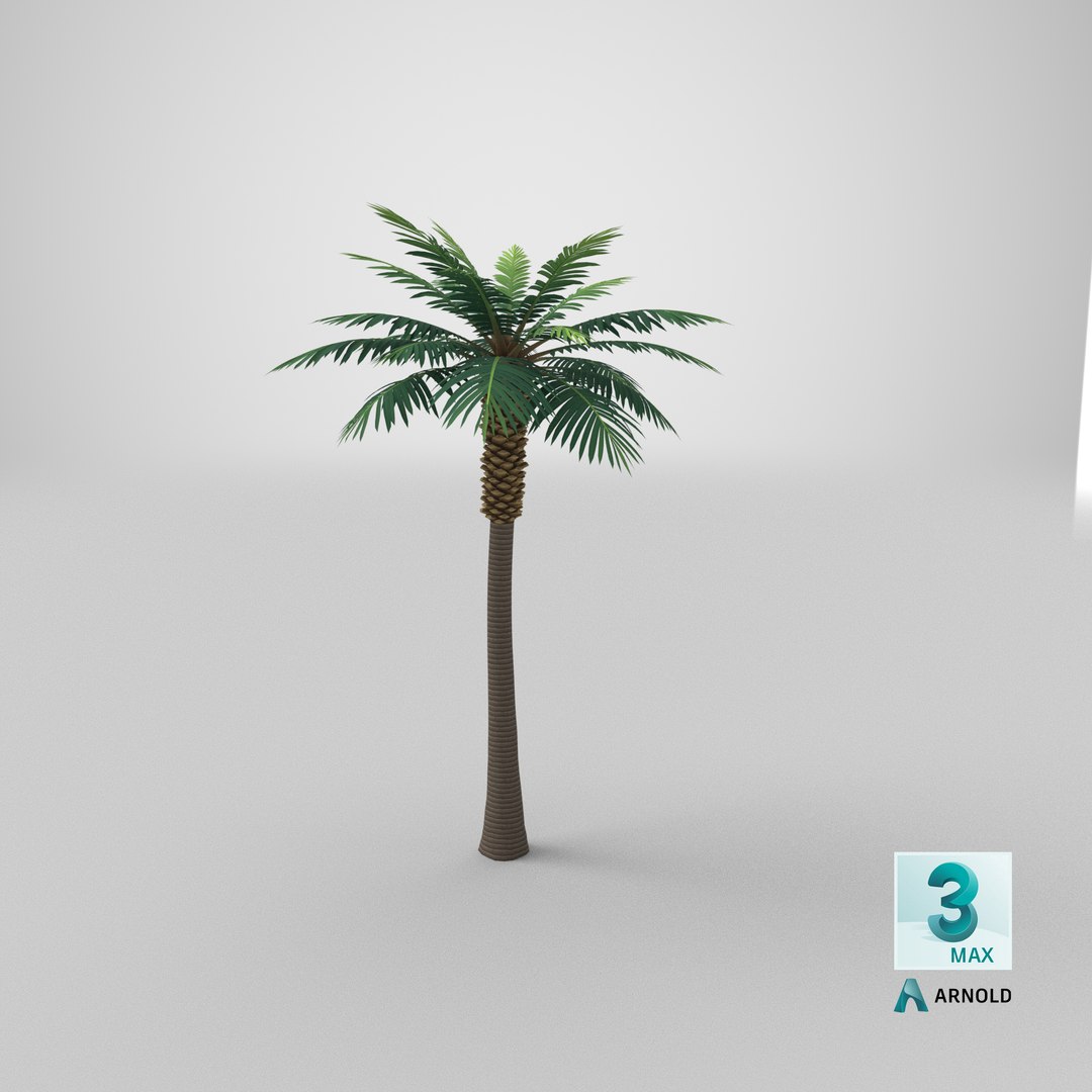3D Model Cartoon Palm Tree 04 - TurboSquid 1941528