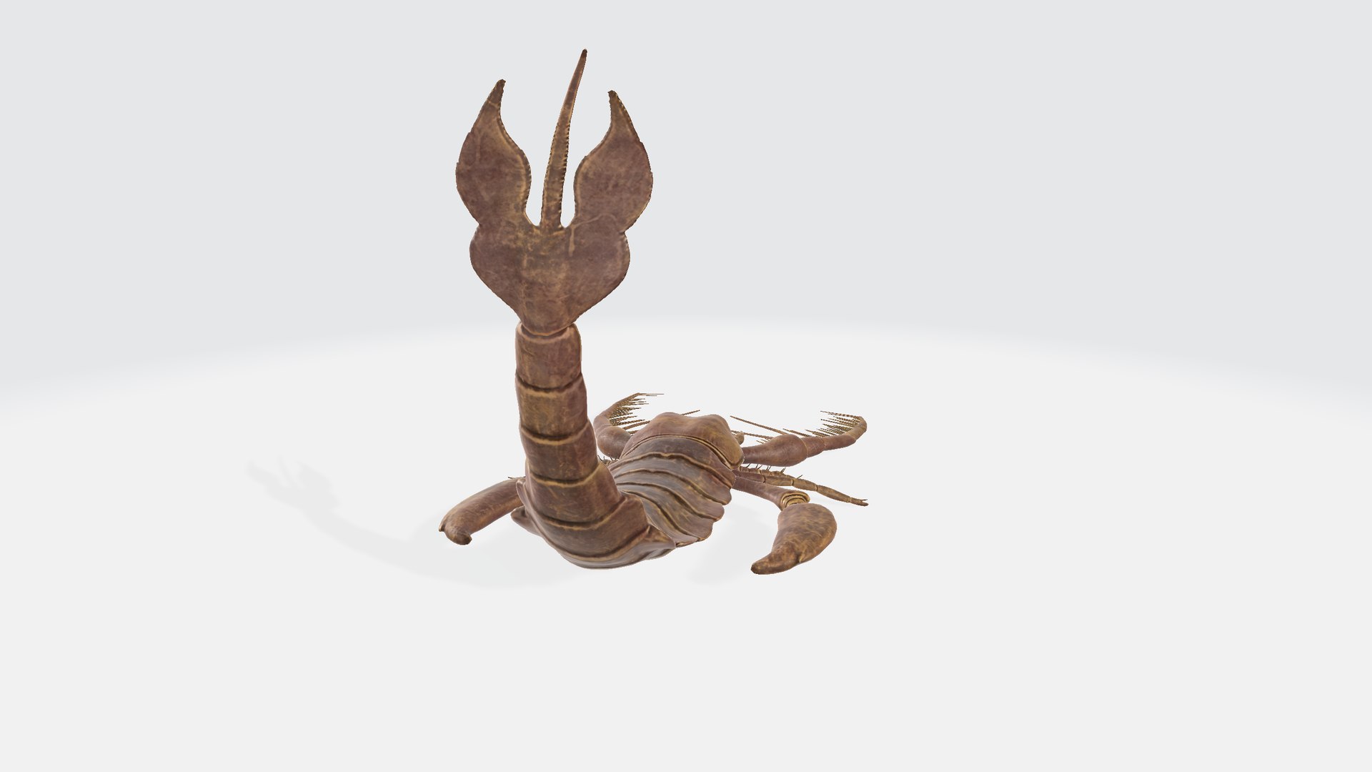 3D Model Jaekelopterus - TurboSquid 2346164