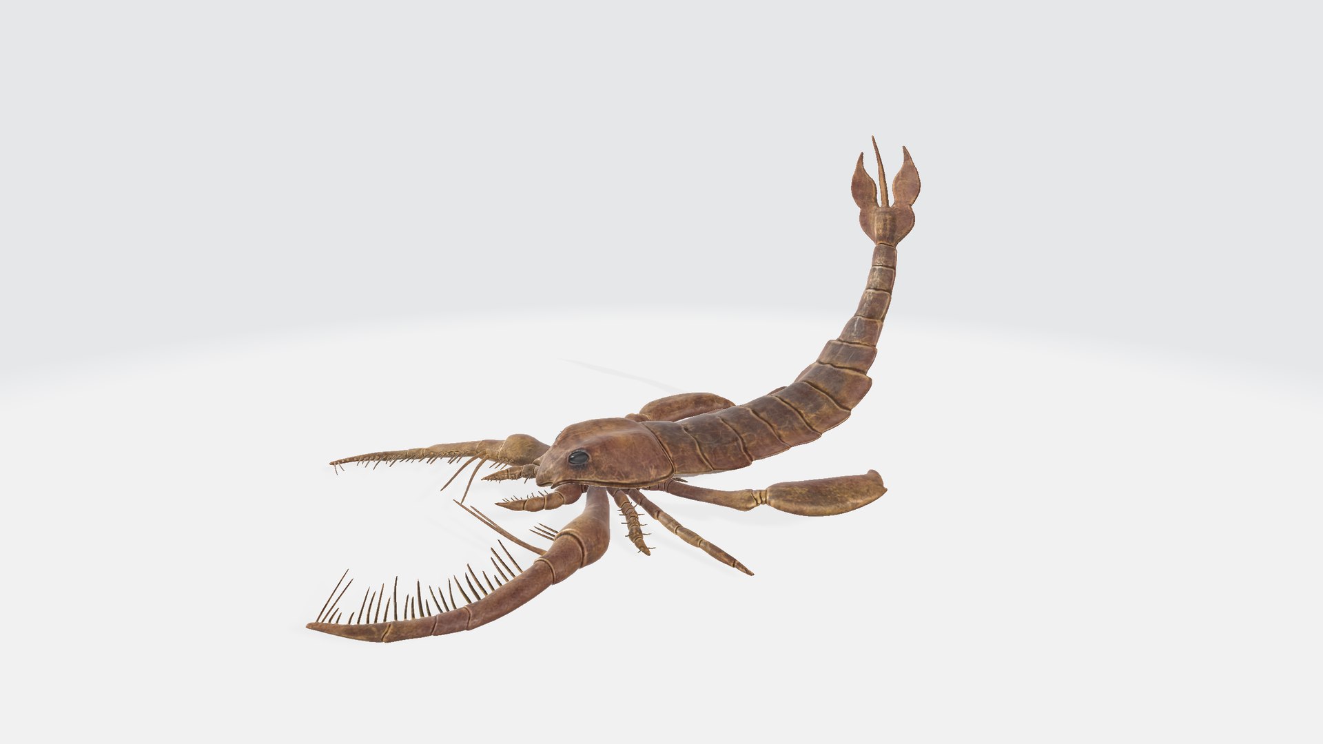 3D Model Jaekelopterus - TurboSquid 2346164