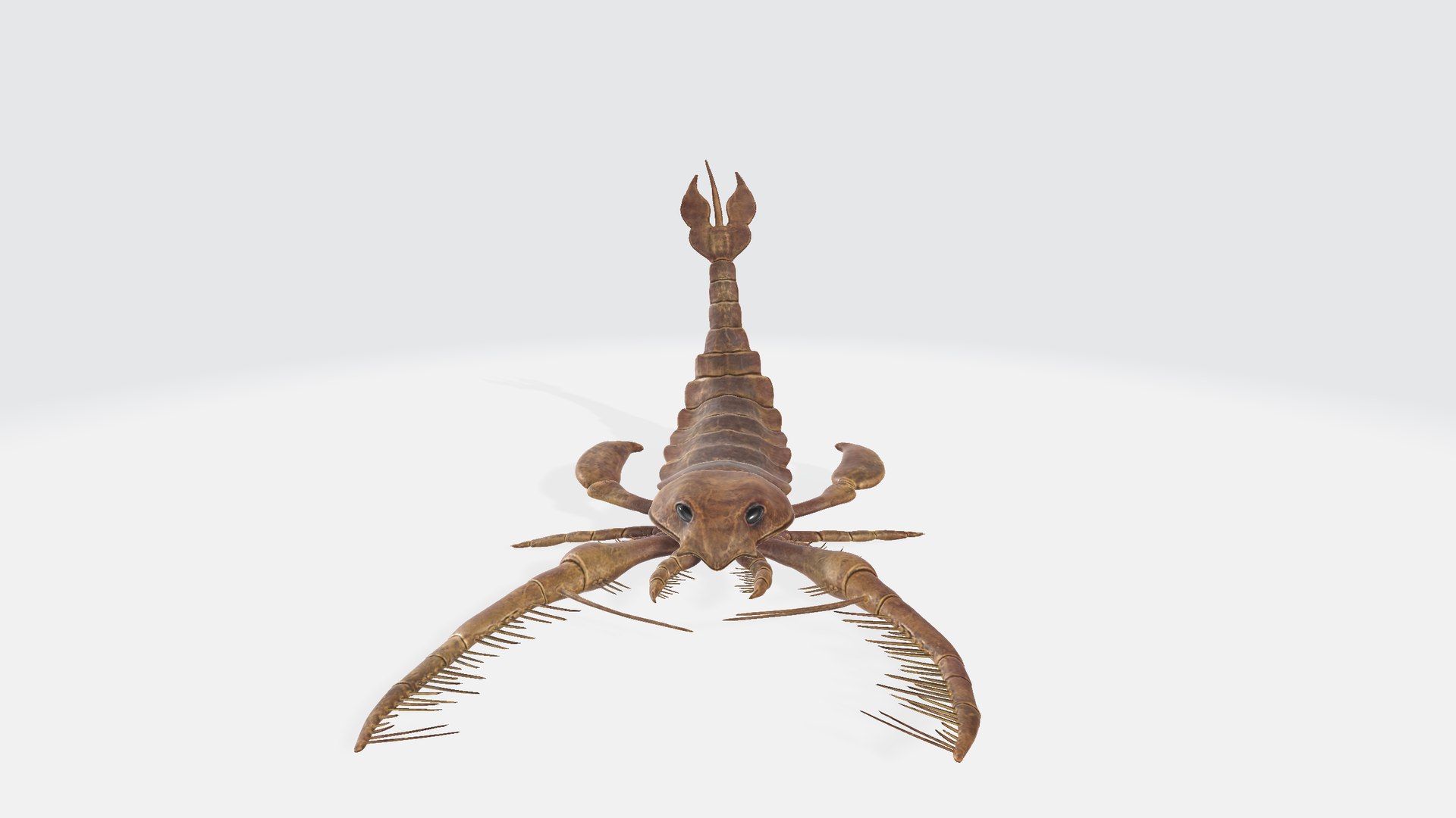 3D Model Jaekelopterus - TurboSquid 2346164