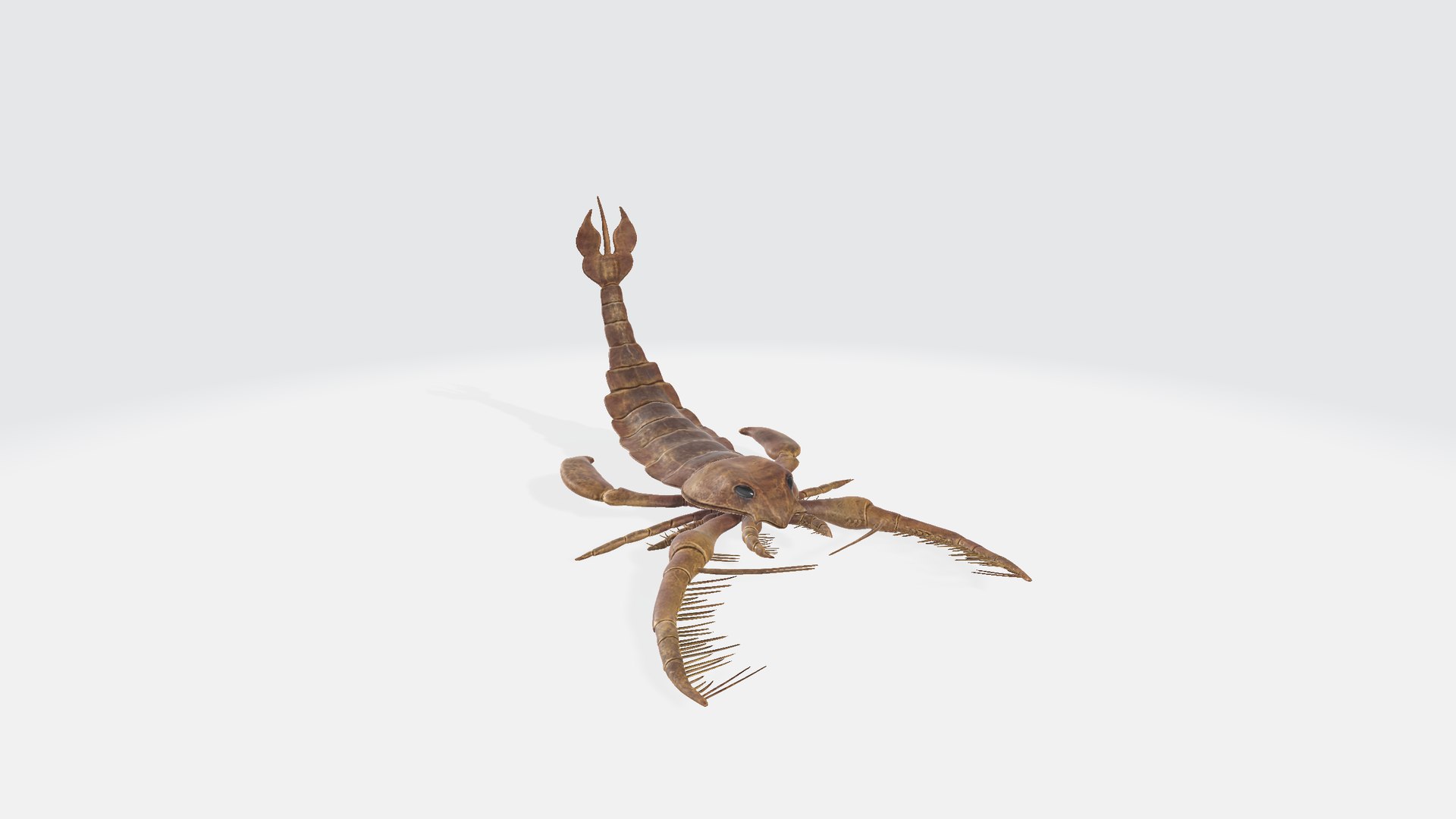 3D Model Jaekelopterus - TurboSquid 2346164