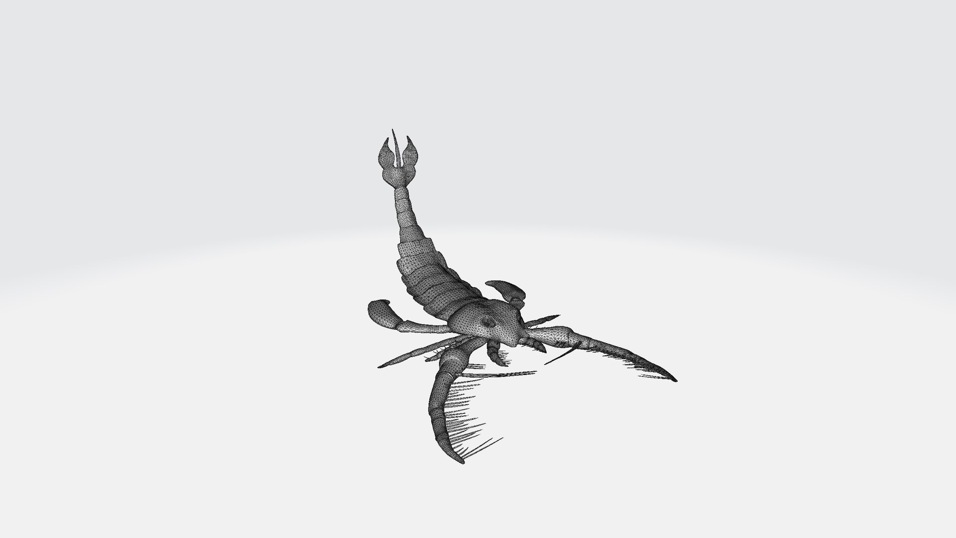 3D Model Jaekelopterus - TurboSquid 2346164