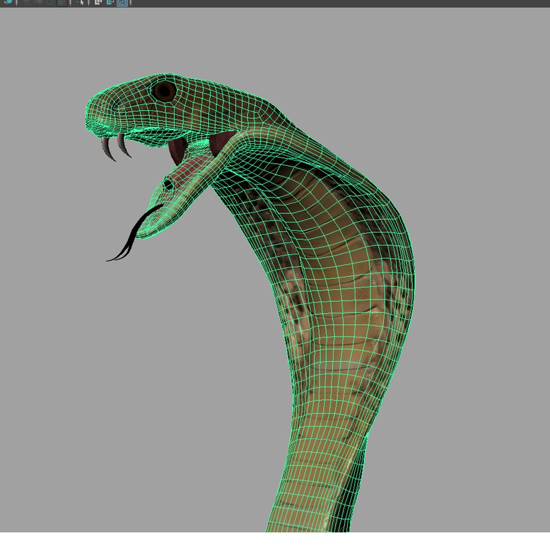 Realistic King Cobra Snake Obj