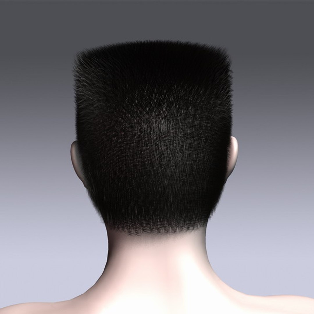 3d Model John Hair