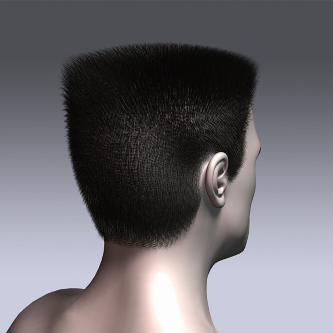 3d Model John Hair