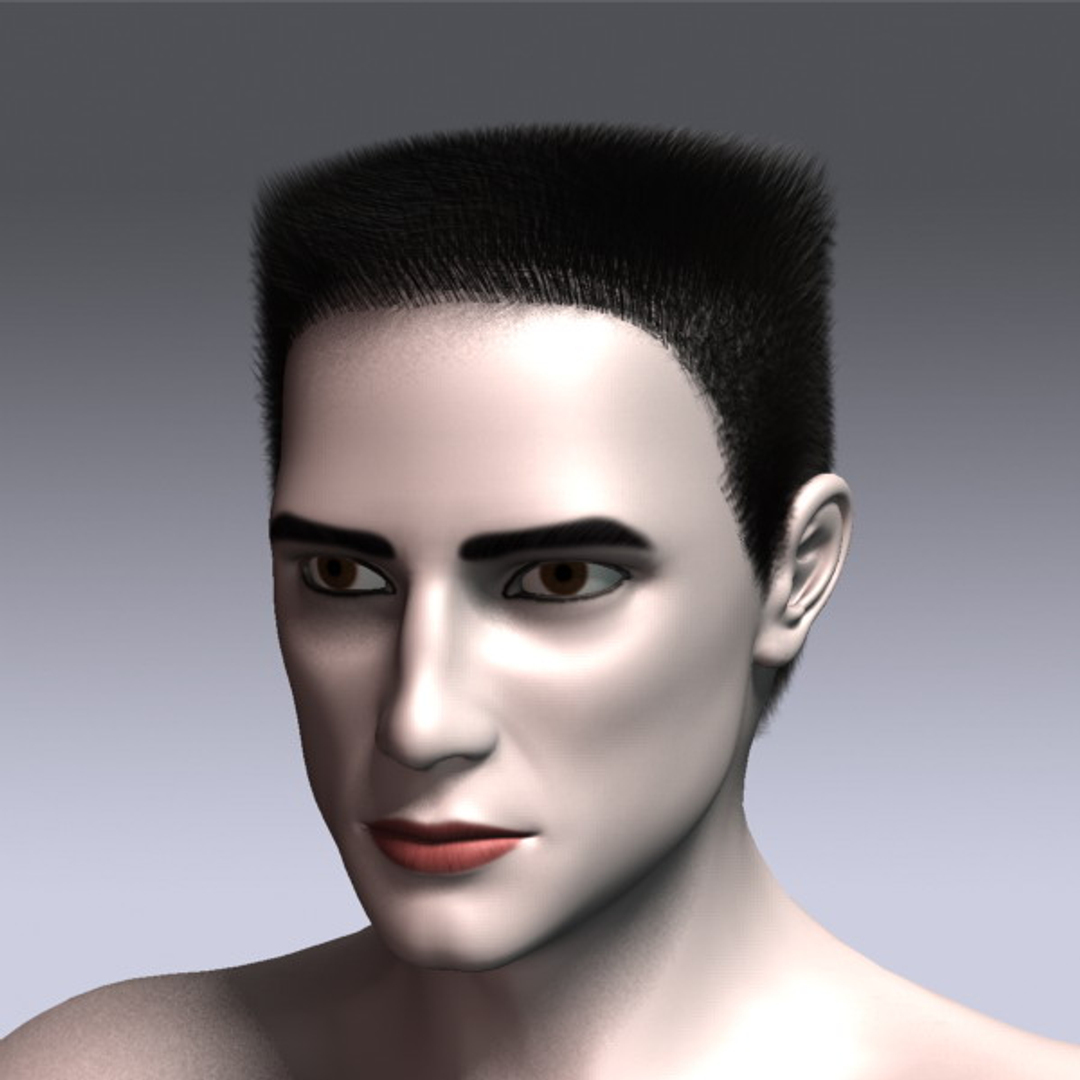 3d Model John Hair