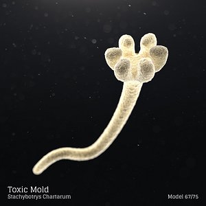 modelo 3d Célula ósea - osteocito - TurboSquid 1626090