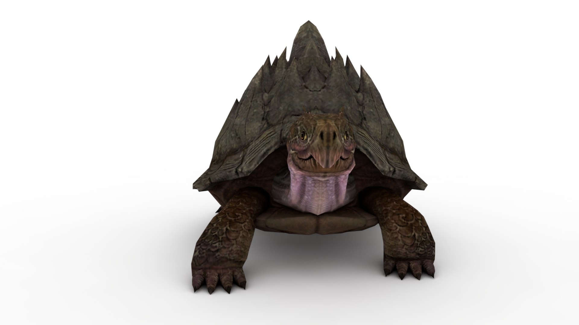 3D Turtle - TurboSquid 2221129