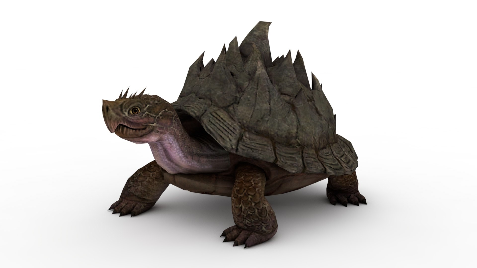 3D Turtle - TurboSquid 2221129