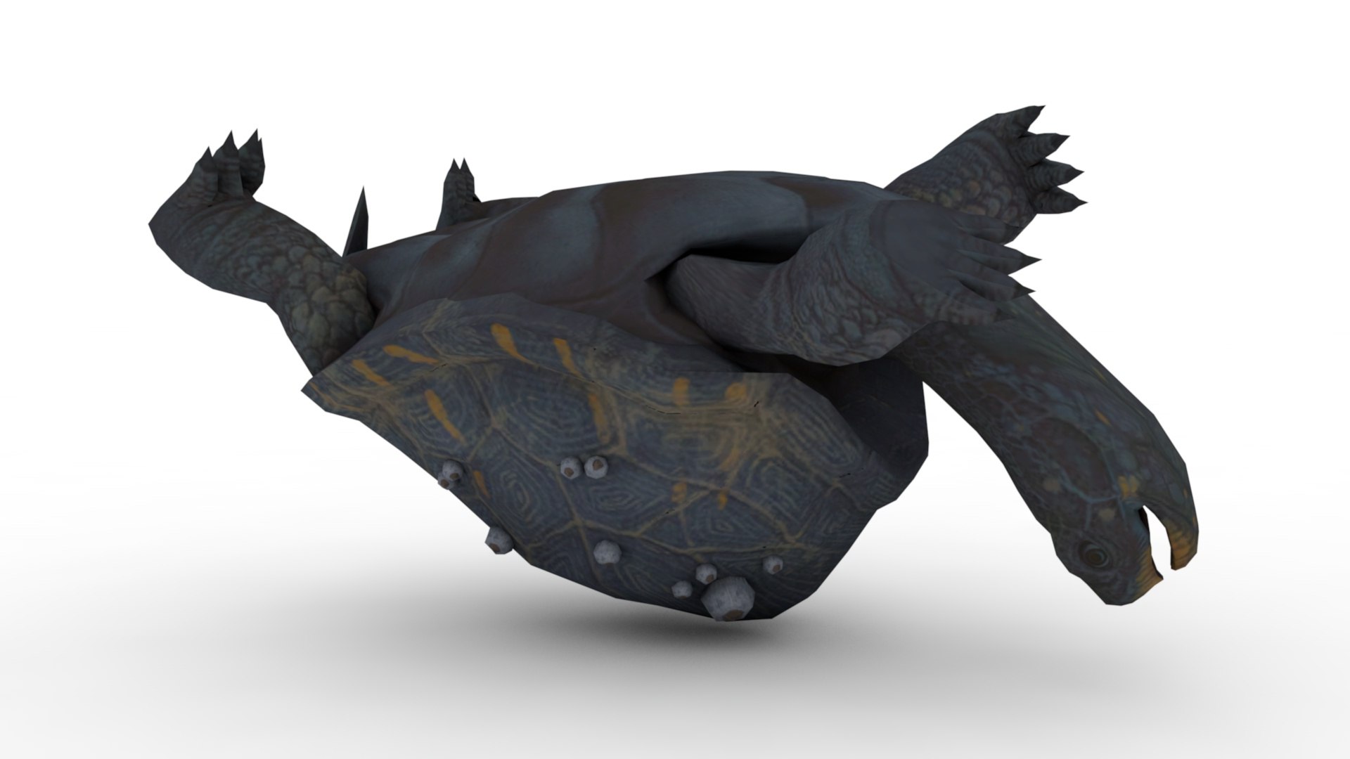 3D Turtle - TurboSquid 2221129