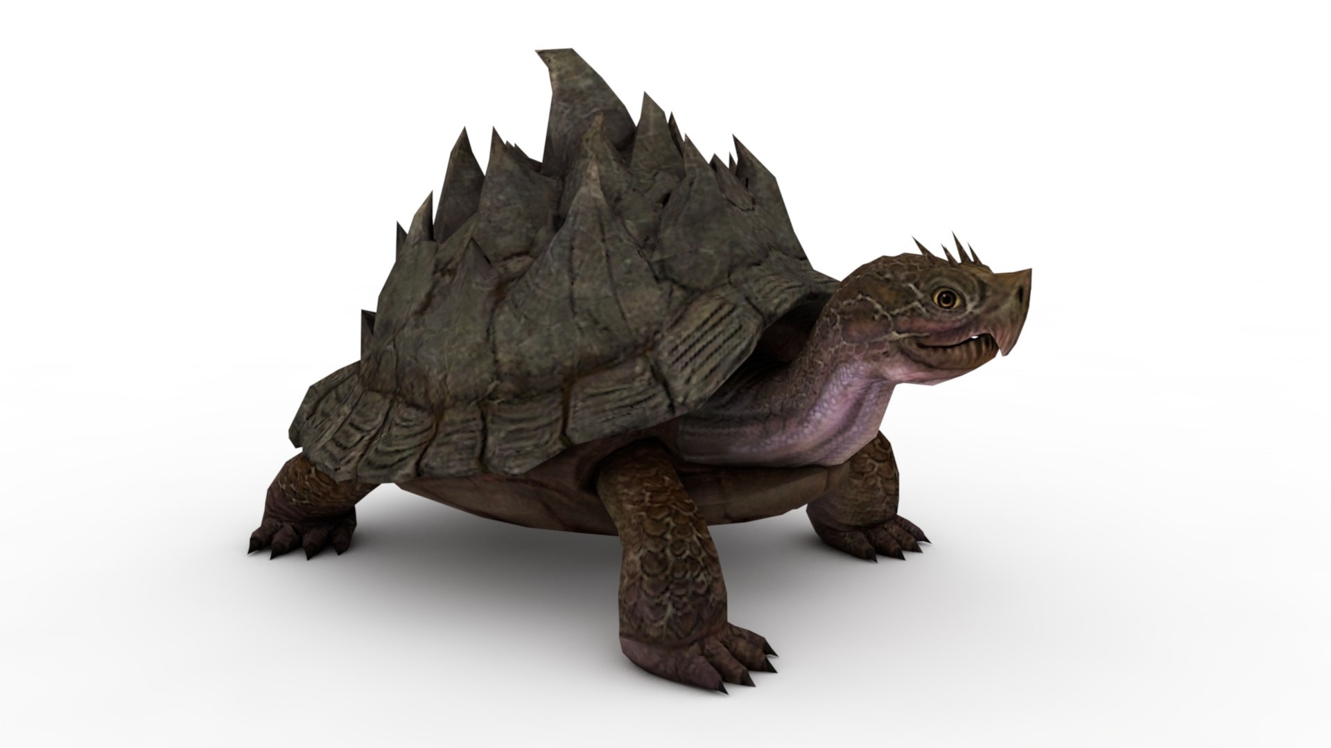 3D Turtle - TurboSquid 2221129