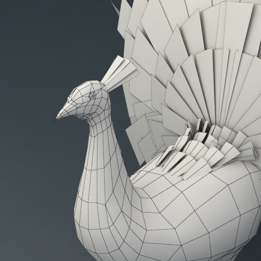 Rigged Peacock Animation 3d Max