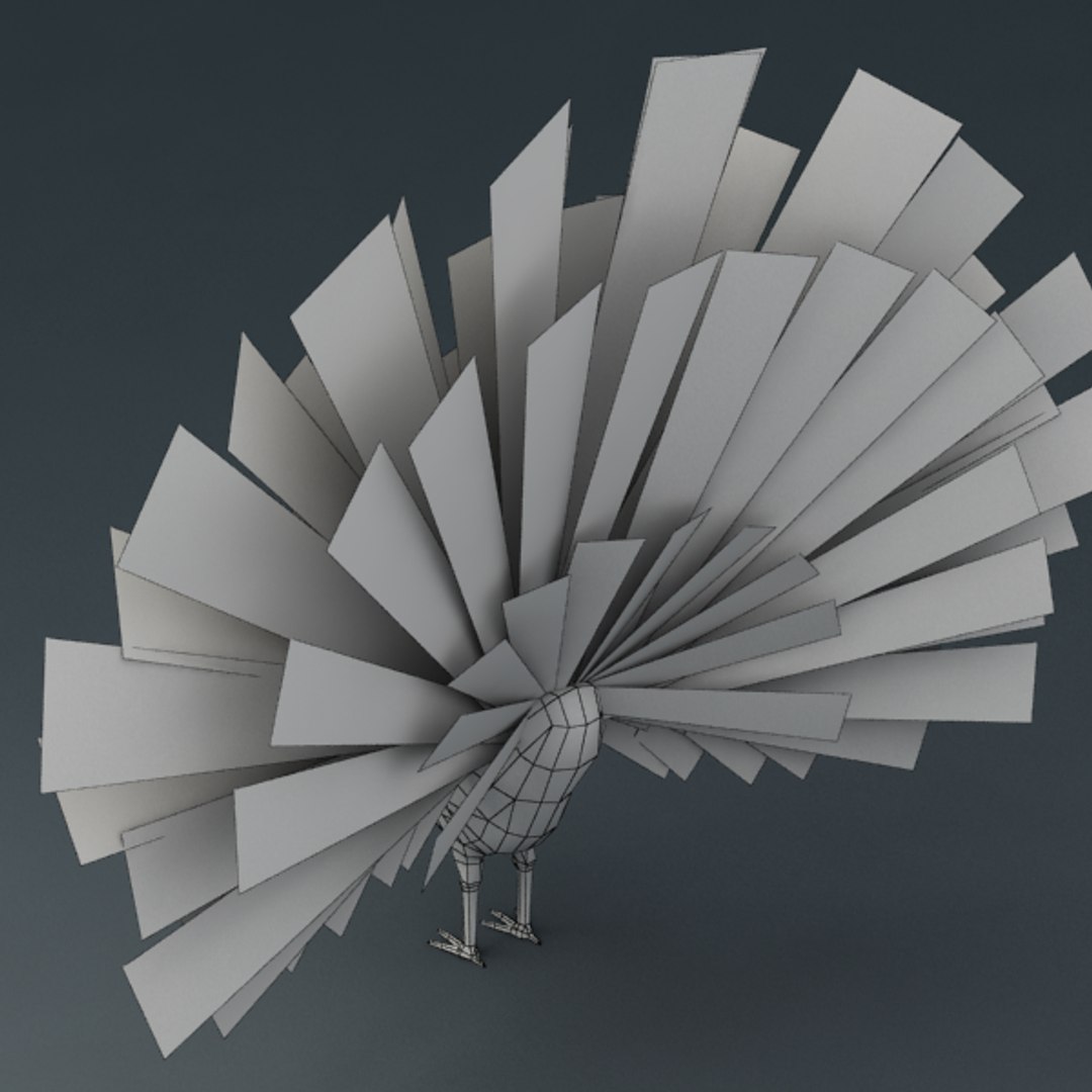 Rigged Peacock Animation 3d Max