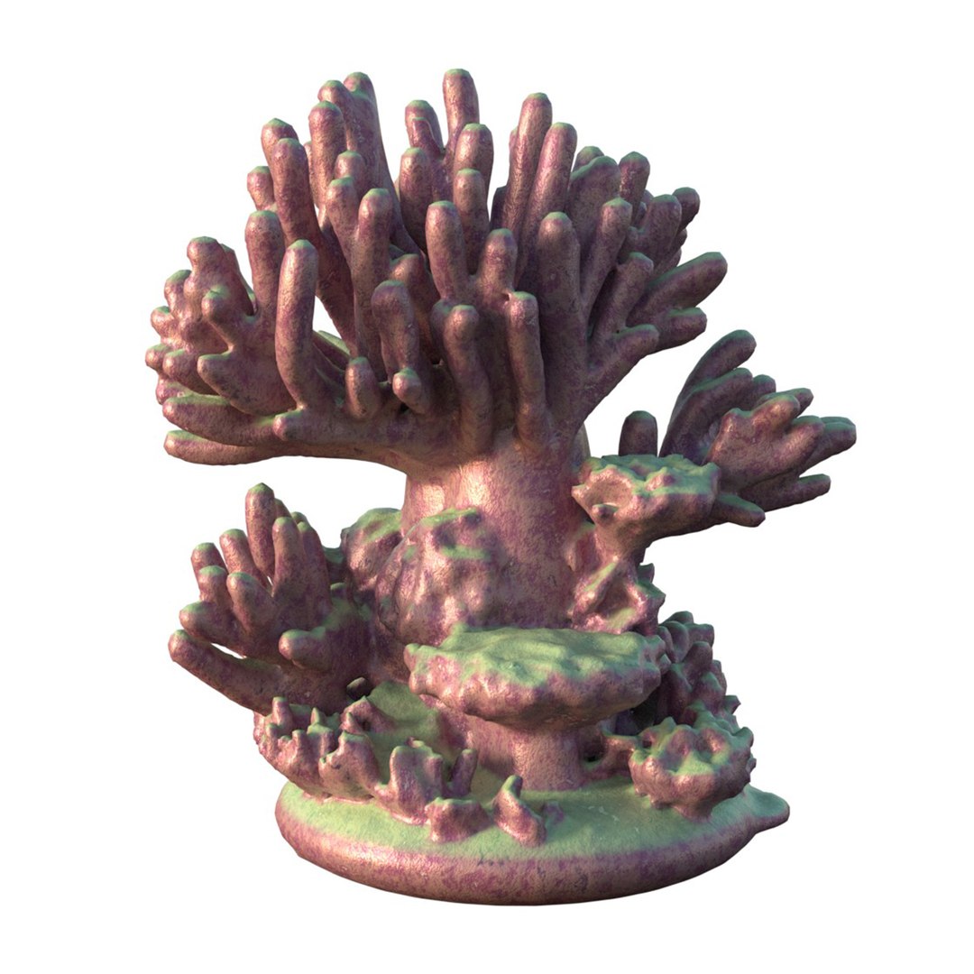 3D Coral Reef V4 Model - TurboSquid 2370934