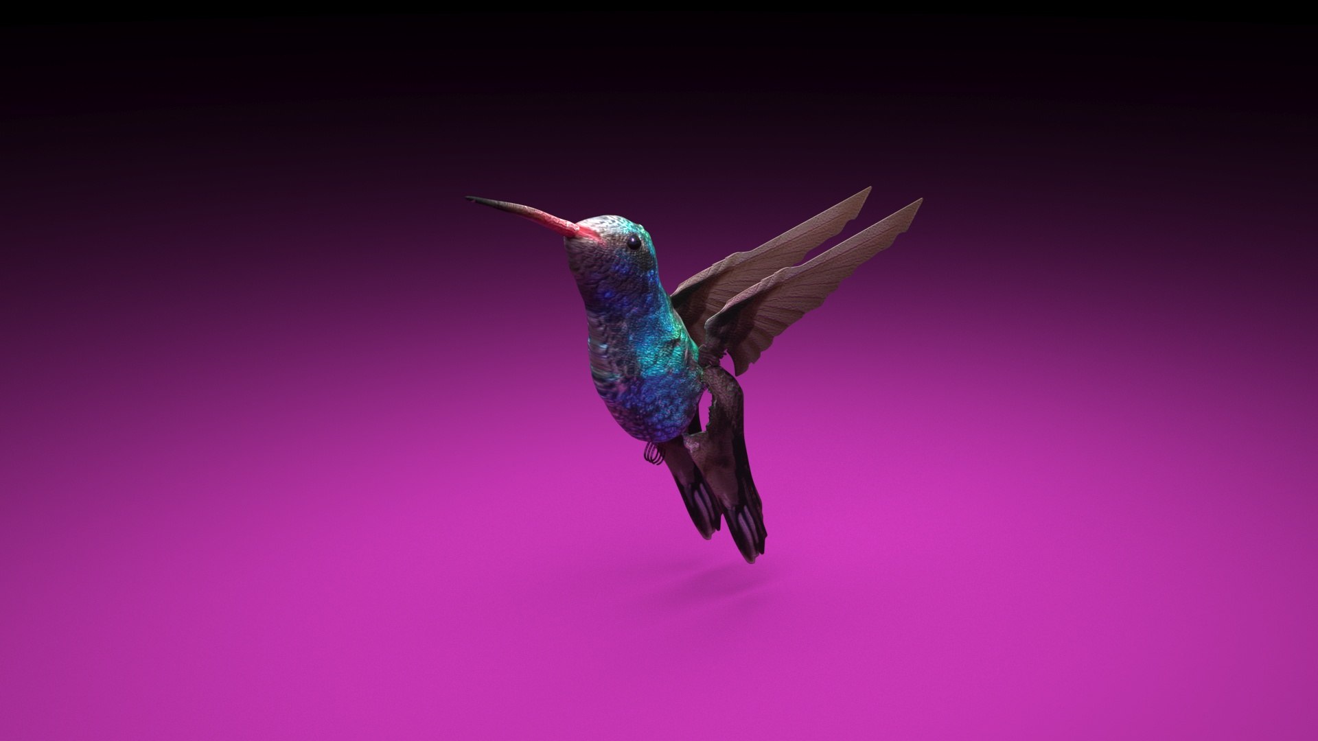 Colibri Model - TurboSquid 1923325