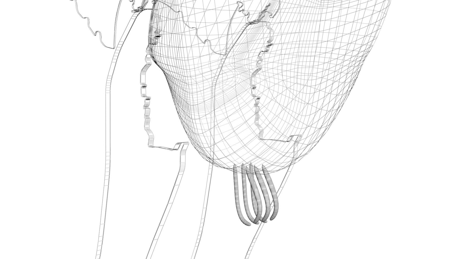Colibri Model - TurboSquid 1923325
