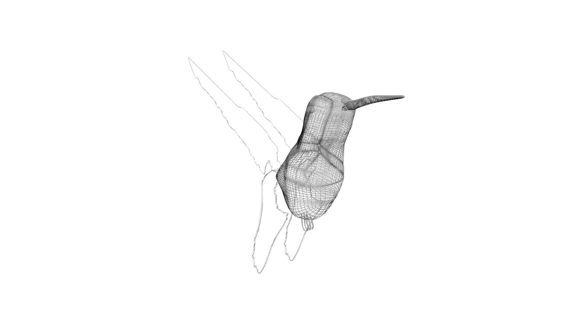 Colibri Model - TurboSquid 1923325