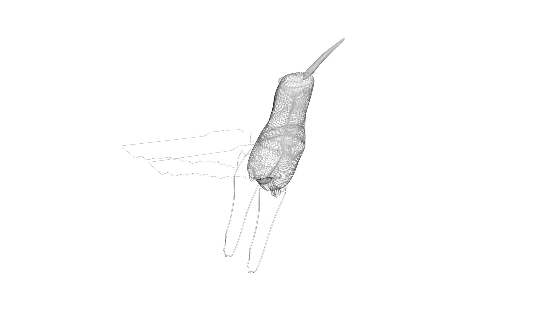 Colibri Model - TurboSquid 1923325