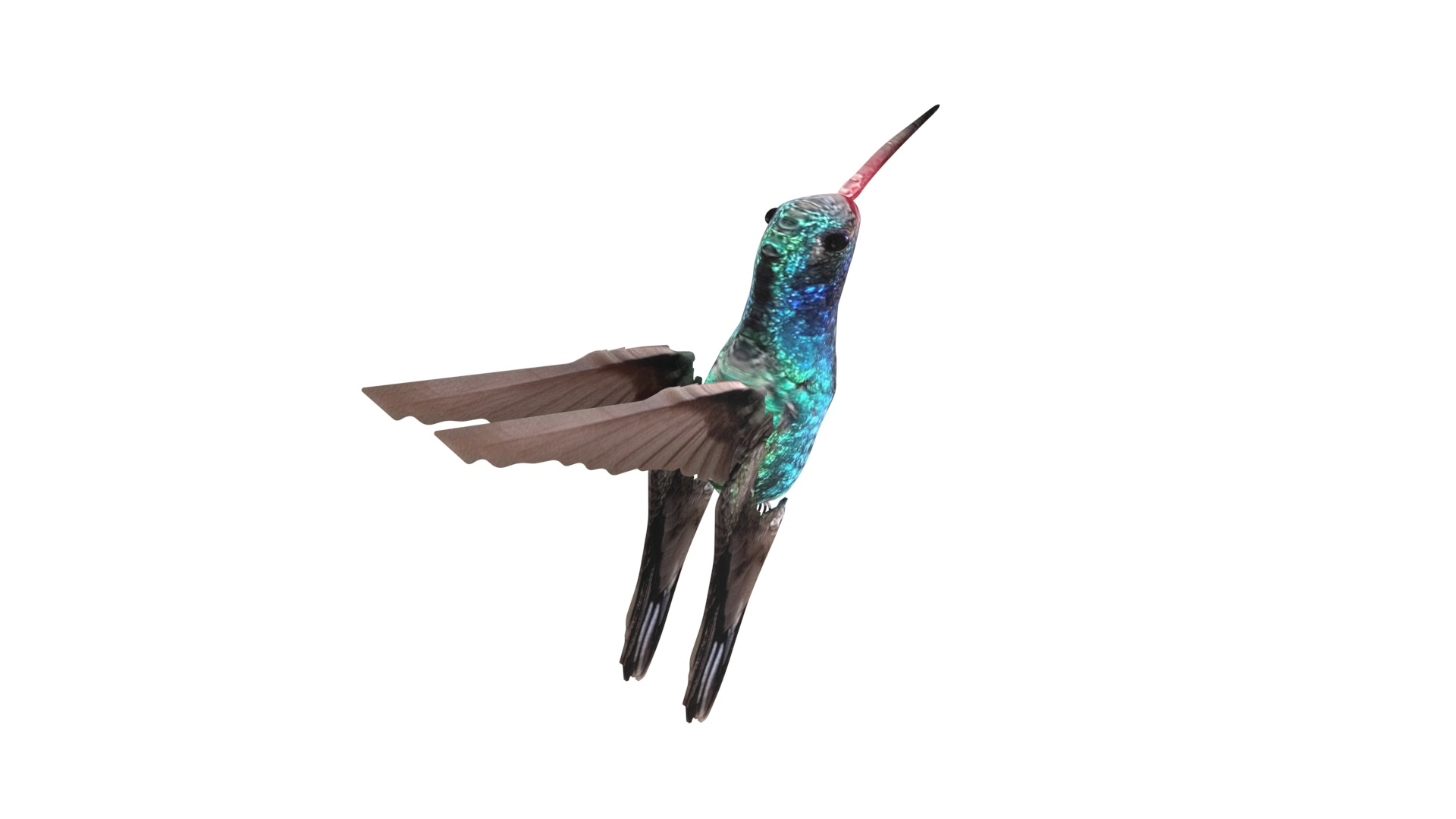 Colibri Model - TurboSquid 1923325