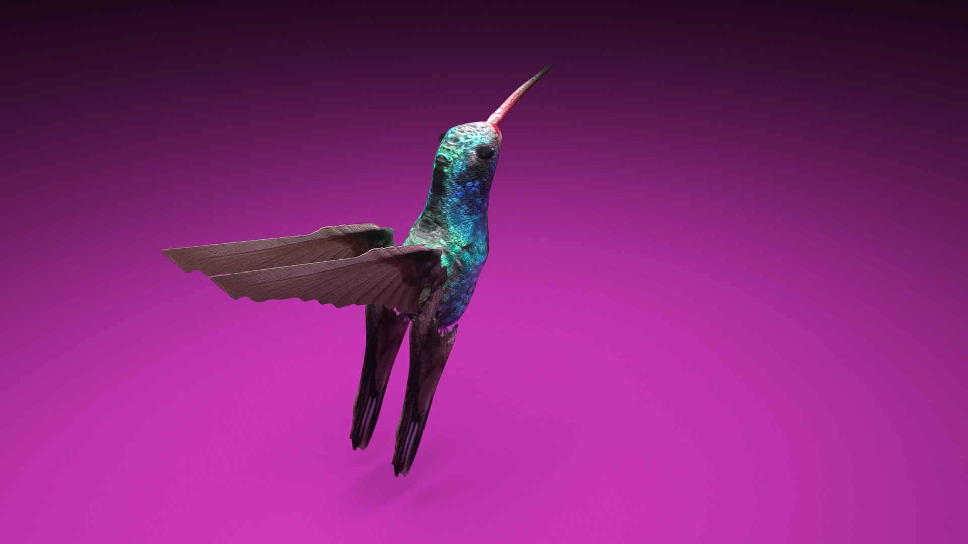 Colibri Model - TurboSquid 1923325