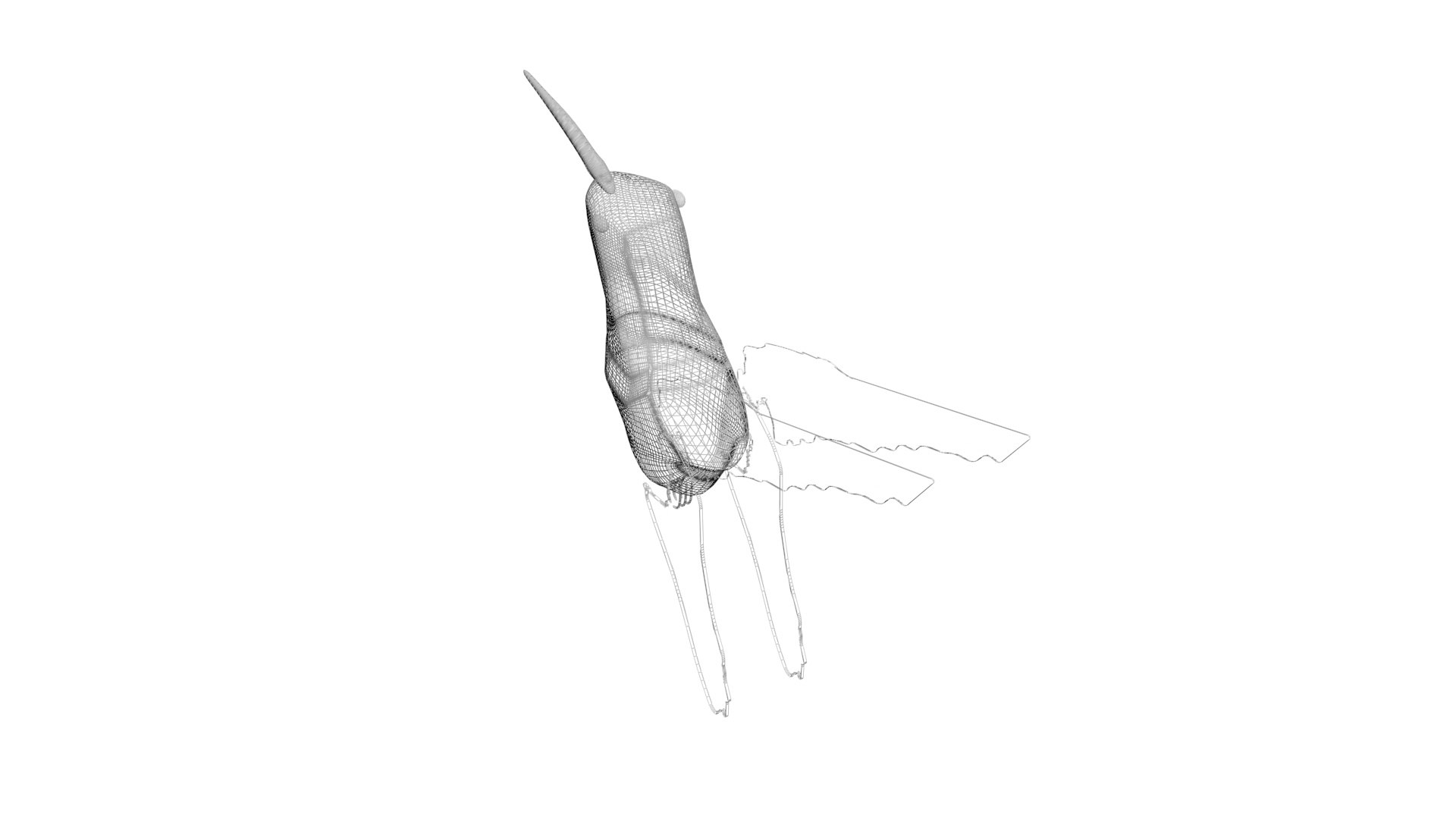 Colibri Model - TurboSquid 1923325