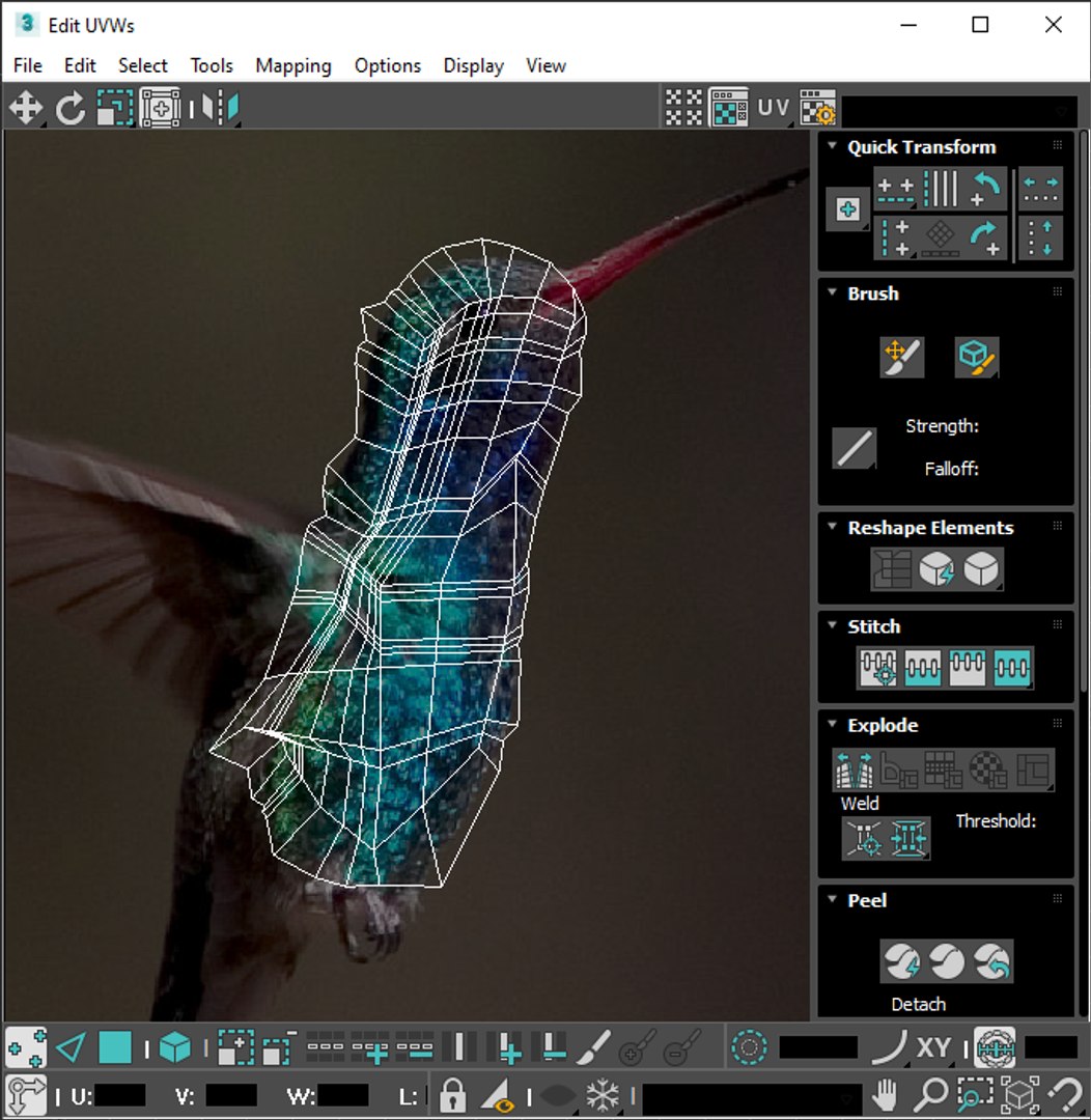 Colibri Model - TurboSquid 1923325