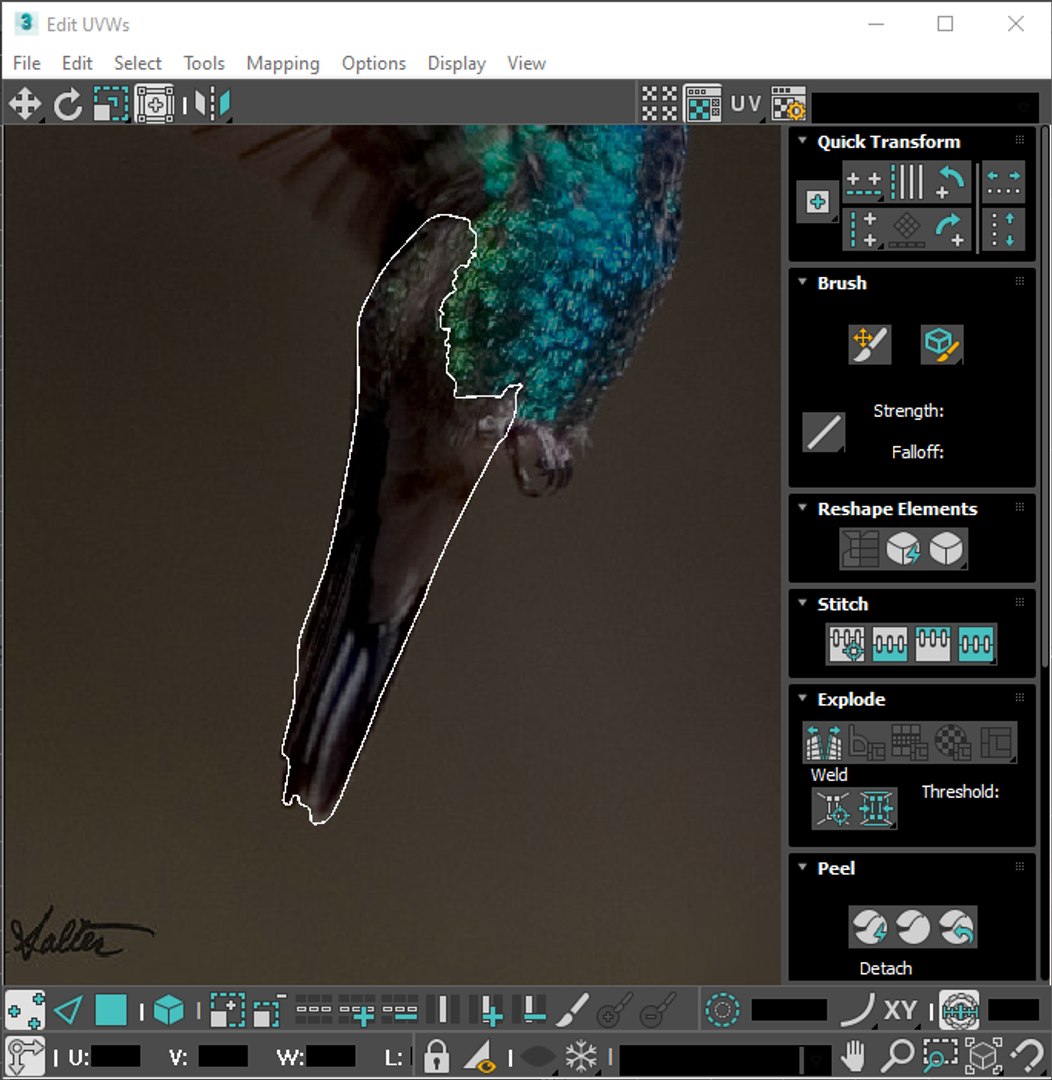 Colibri Model - TurboSquid 1923325