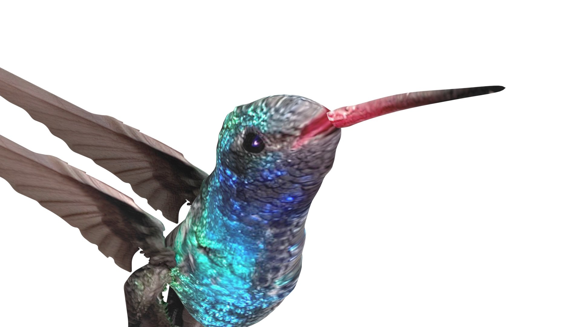 Colibri Model - TurboSquid 1923325