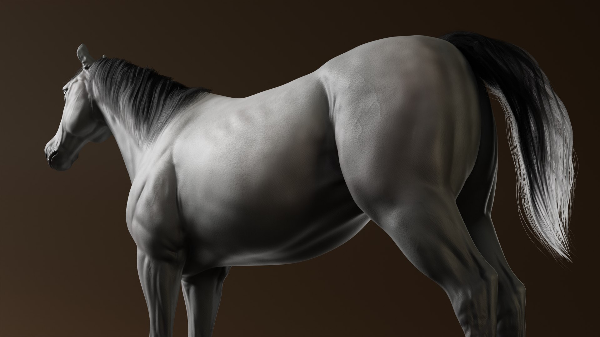 Horse 3D Model - TurboSquid 2263380