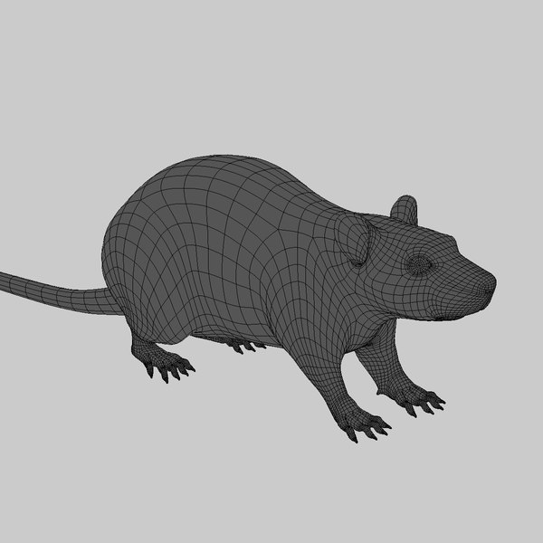 3d rats fur model