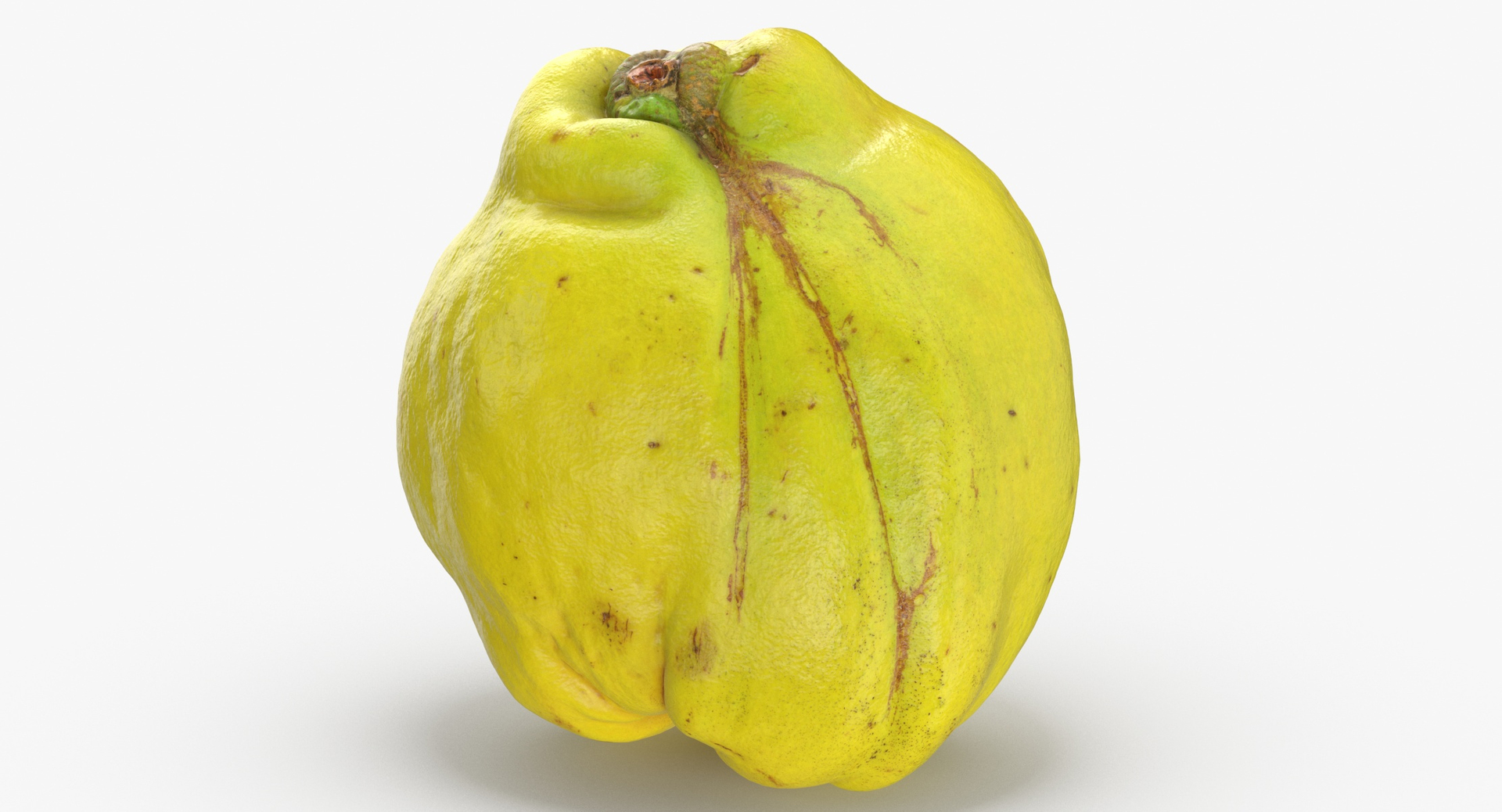 Quince 05 Model - TurboSquid 1570327