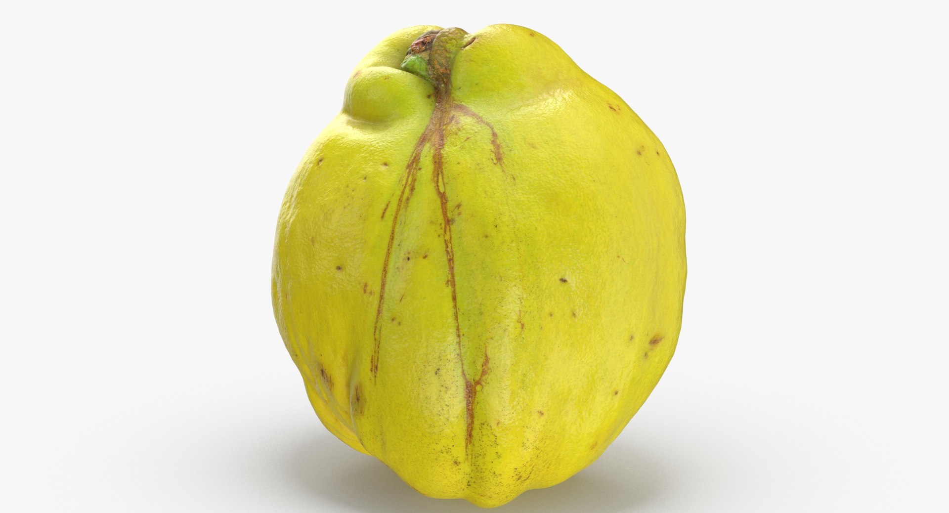 Quince 05 Model - TurboSquid 1570327