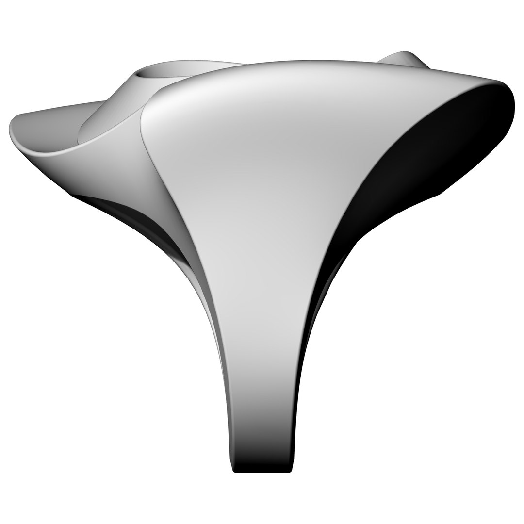 Ring Matrix Rhino 3D Model - TurboSquid 1707604