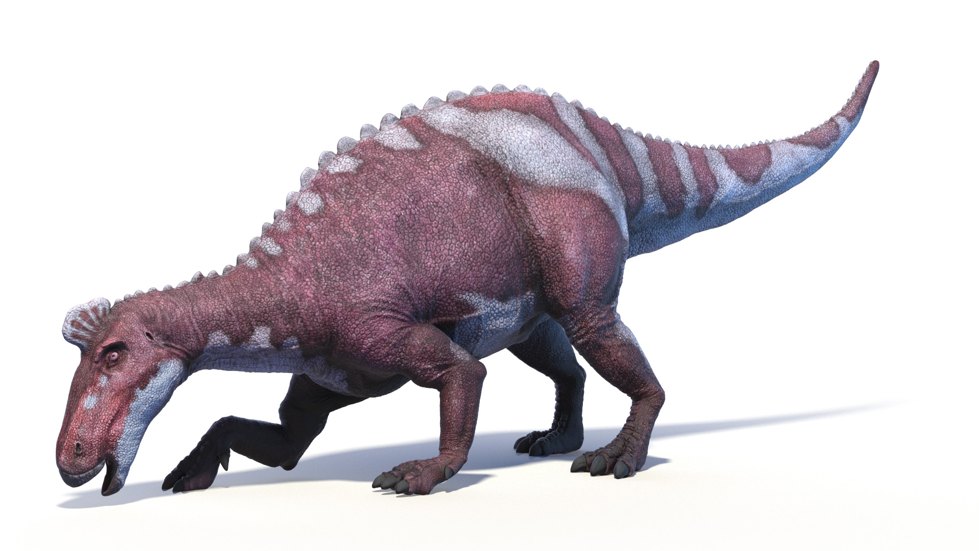 3D Edmontosaurus Animated - TurboSquid 1956616