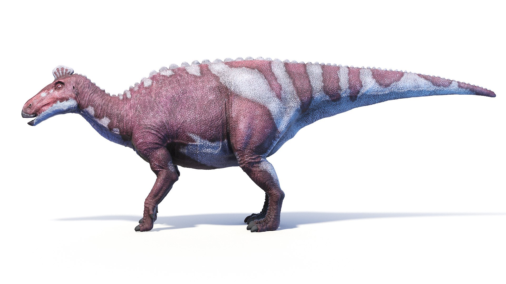 3D Edmontosaurus Animated - TurboSquid 1956616