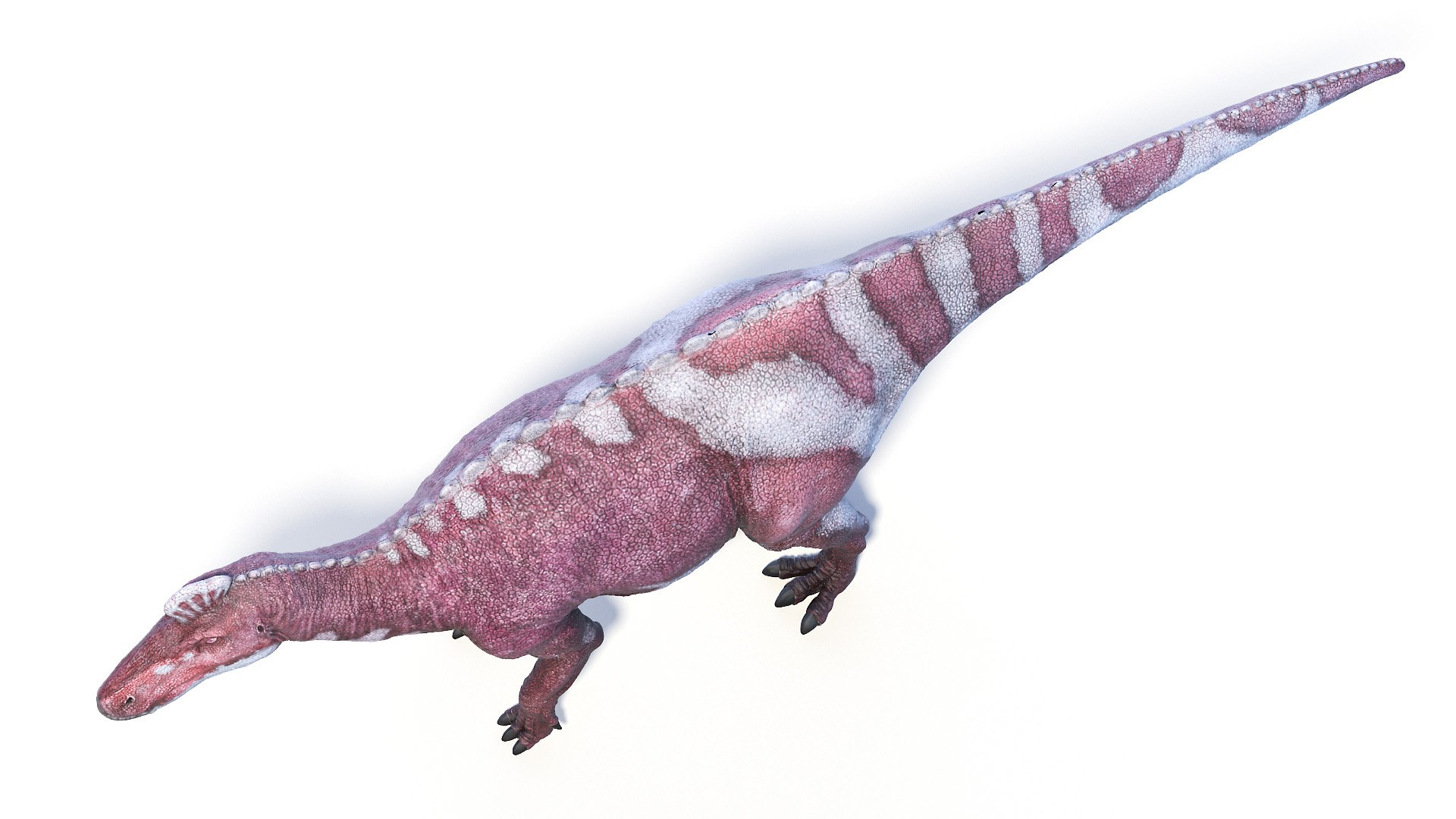 3D Edmontosaurus Animated - TurboSquid 1956616