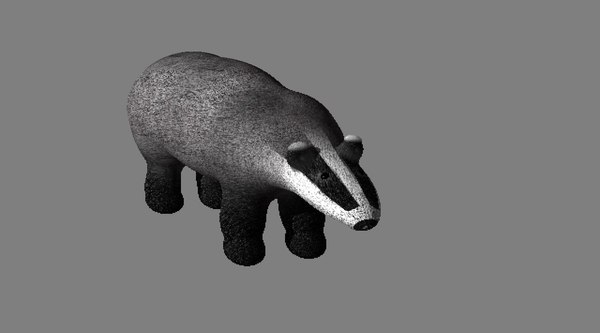 Badger 3D Models for Download | TurboSquid