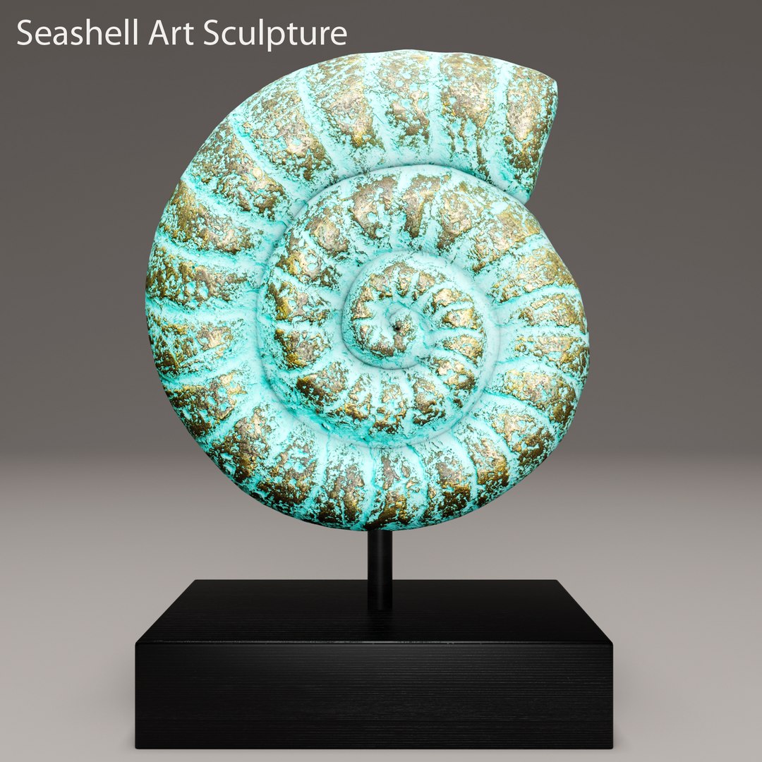 ammonite shell max