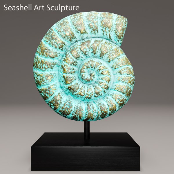 ammonite shell max
