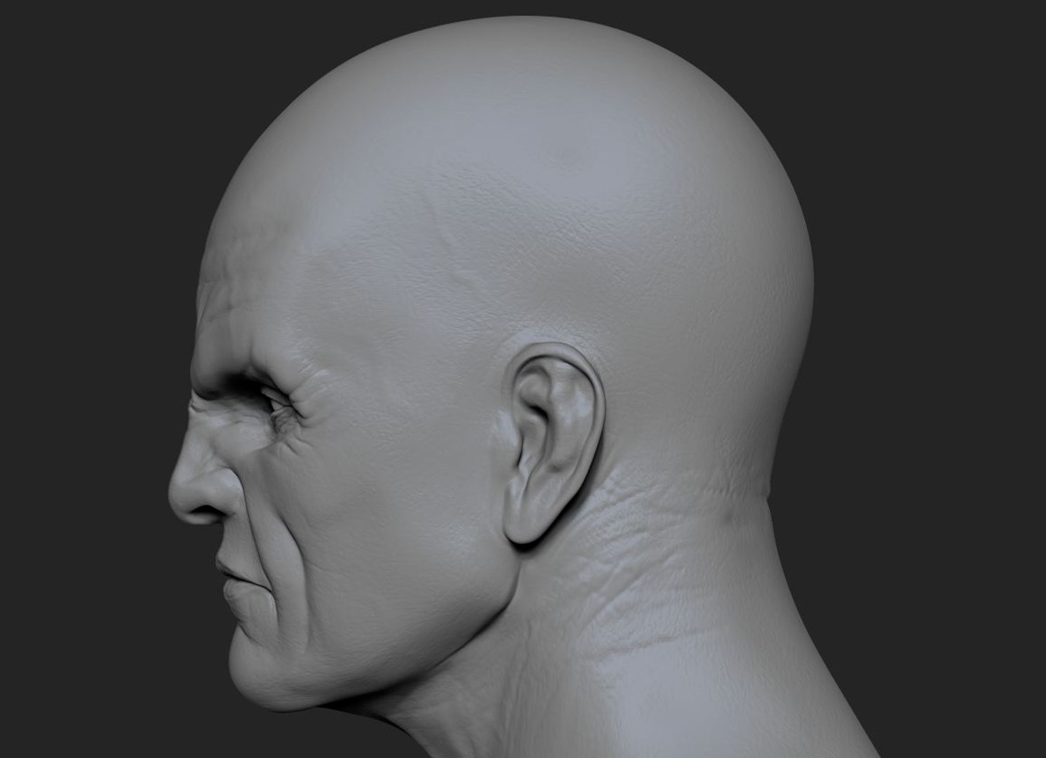 Head Unwrapped Normal 3d Model